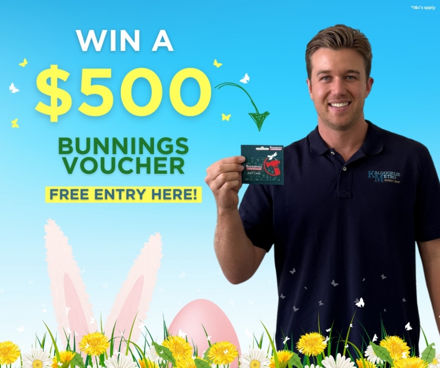 AussieComps.com - NEW Australian Competitions & Giveaways Listed Daily!